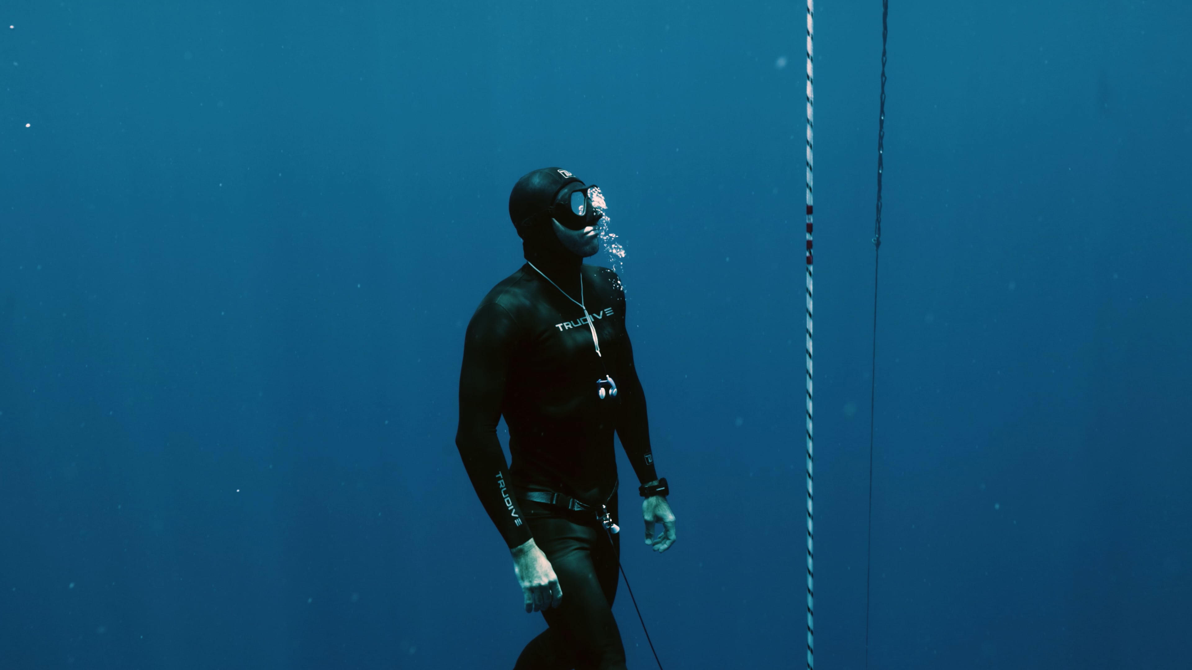Freedive CI 4kmp4 on Vimeo