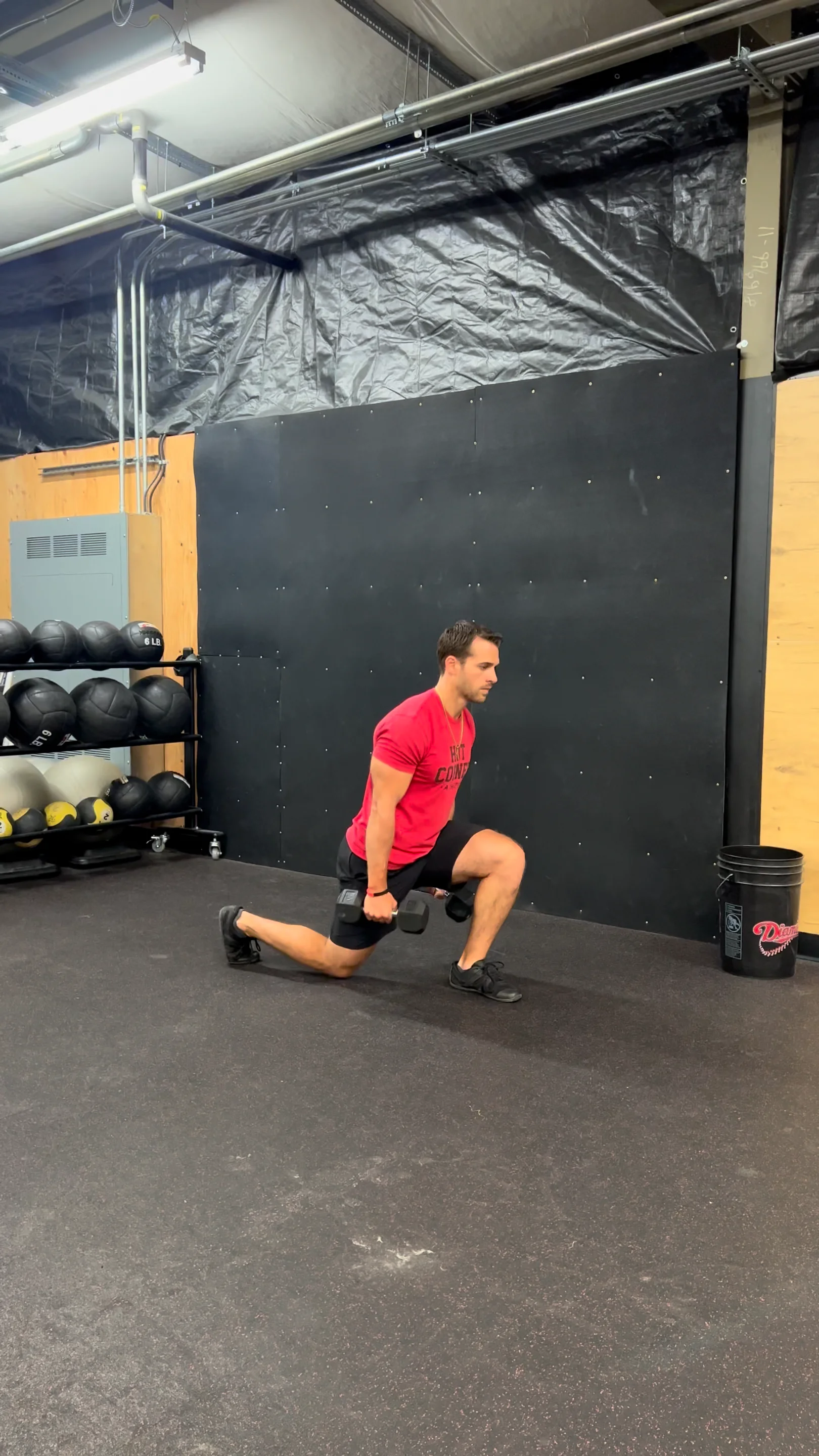 DB Alternating Reverse Lunge w Bilateral Load on Vimeo