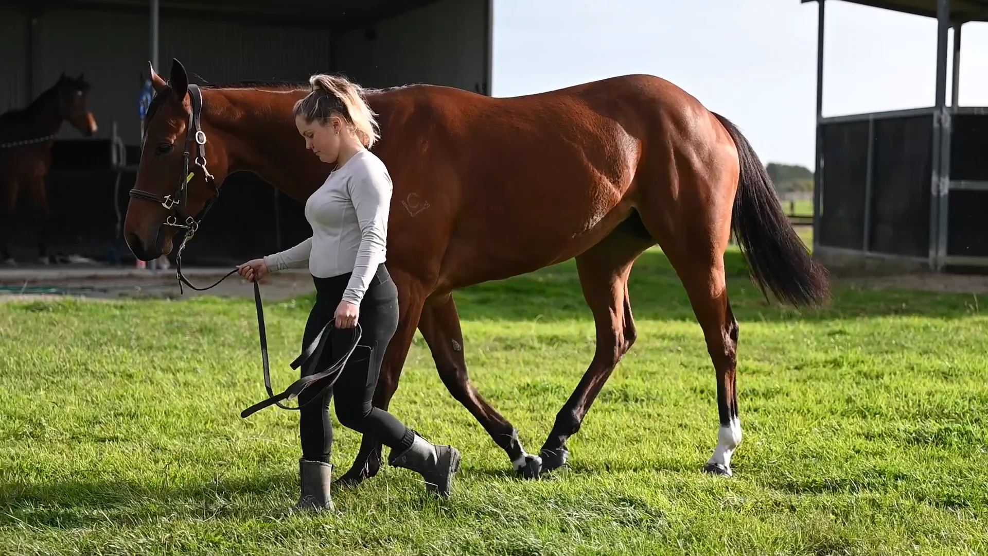 Screaming Diva - Raw Footage on Vimeo