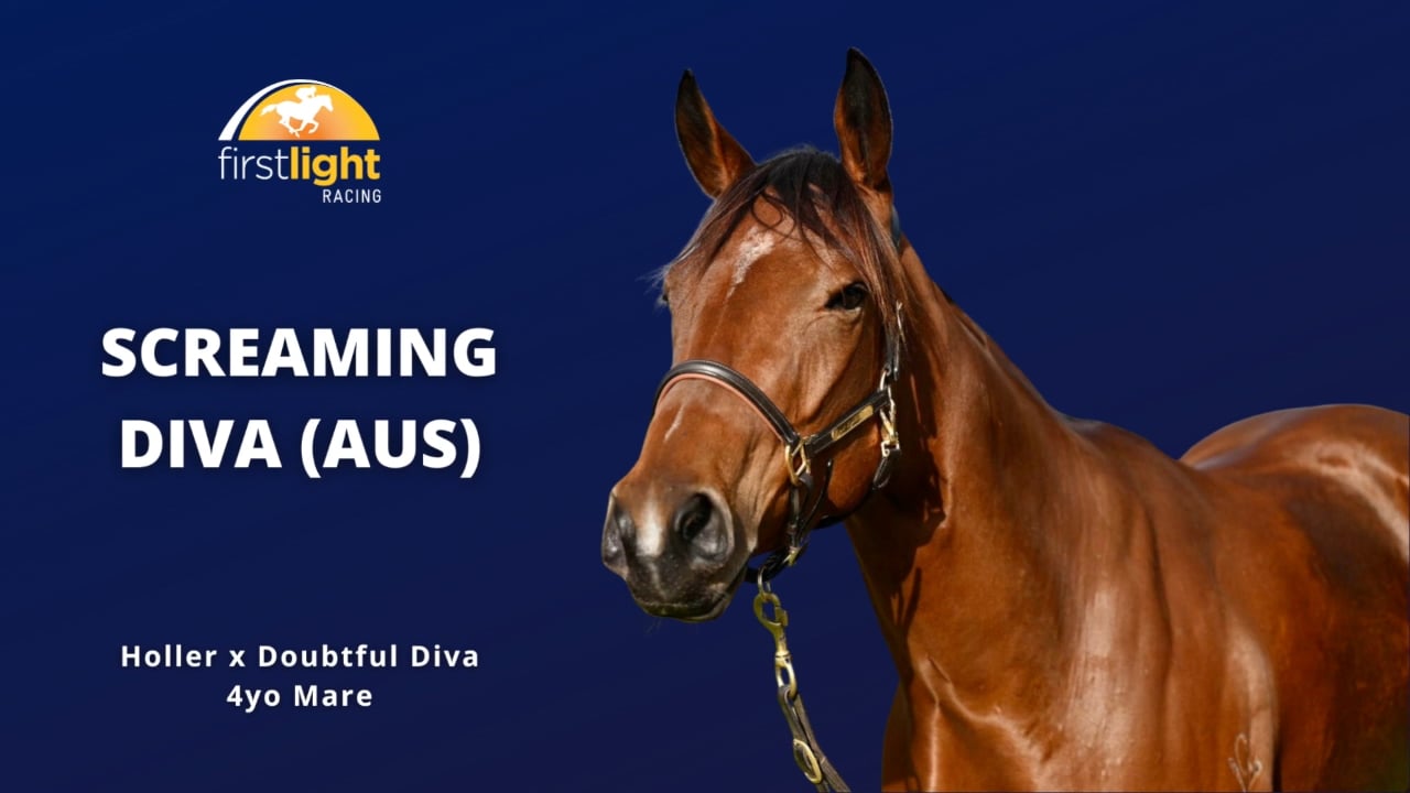 Screaming Diva - Inglis Early June Online 2023 on Vimeo