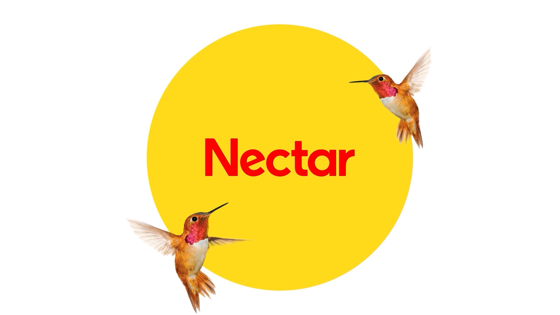 Nectar Video PG, BG Final on Vimeo