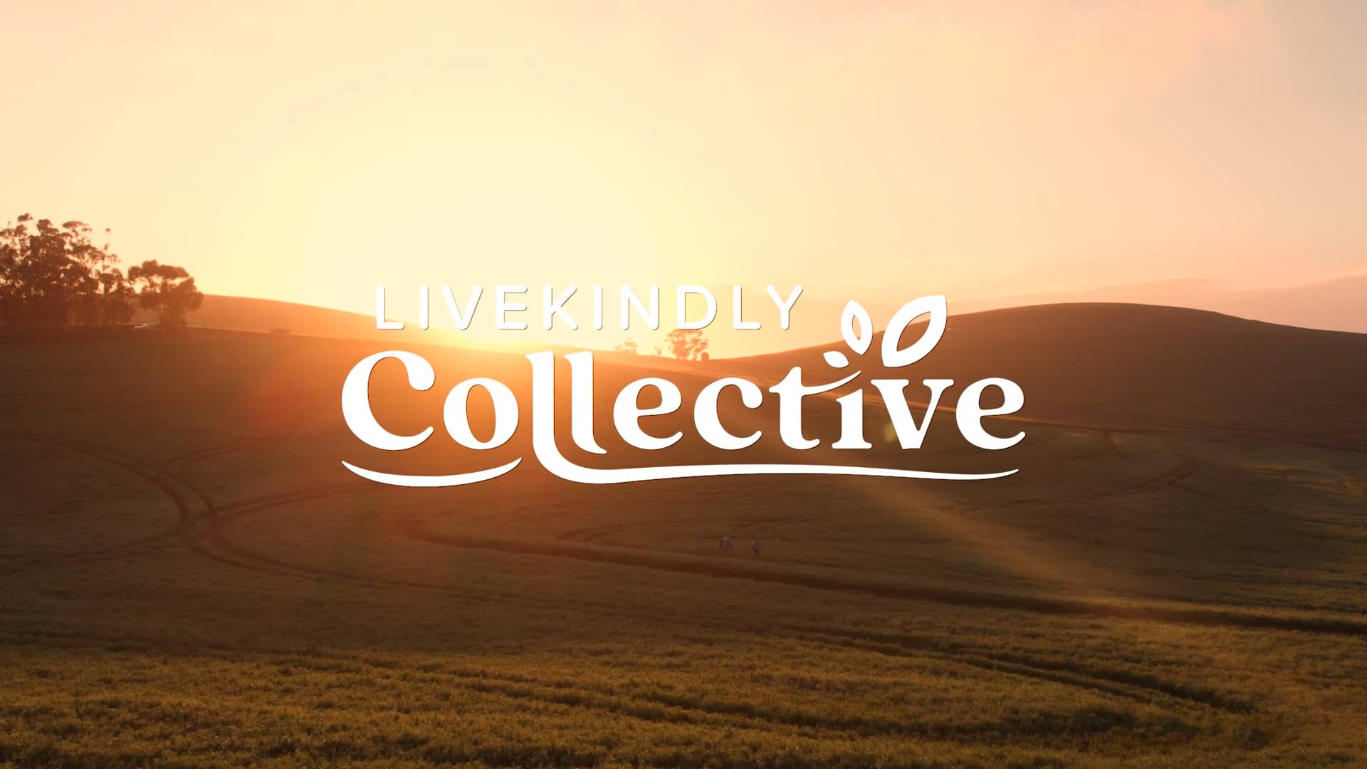 The LiveKindly Collective factory in Oss, Netherlands on Vimeo