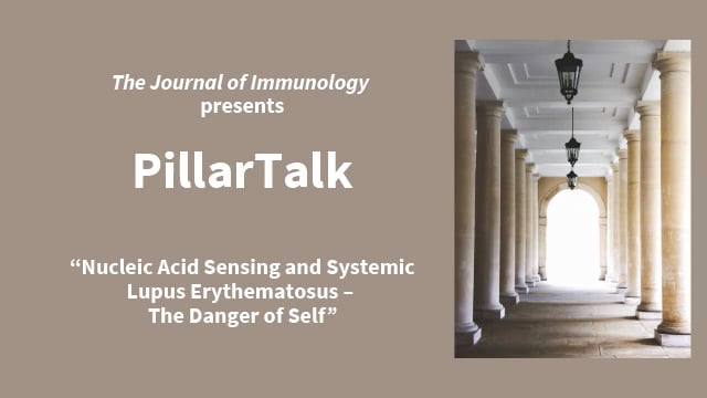 PillarTalk Ep. 12: Anne Davidson, Elizabeth Leadbetter, & Ann Marshak ...