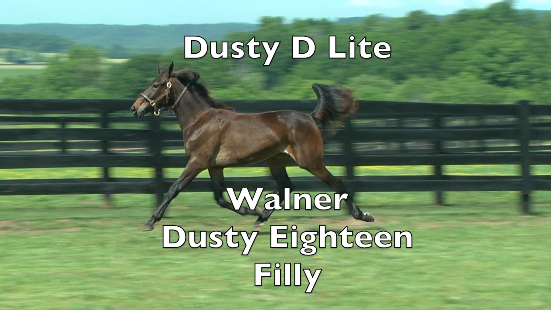 1235-Dusty D Lite on Vimeo