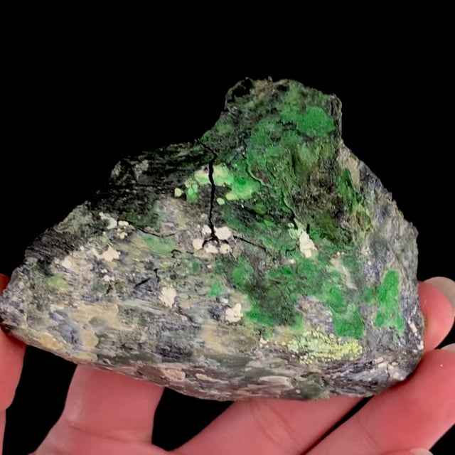 Hellyerite (ridiculously rare) | Lord Brassey Mine, Heazlewood Dist ...