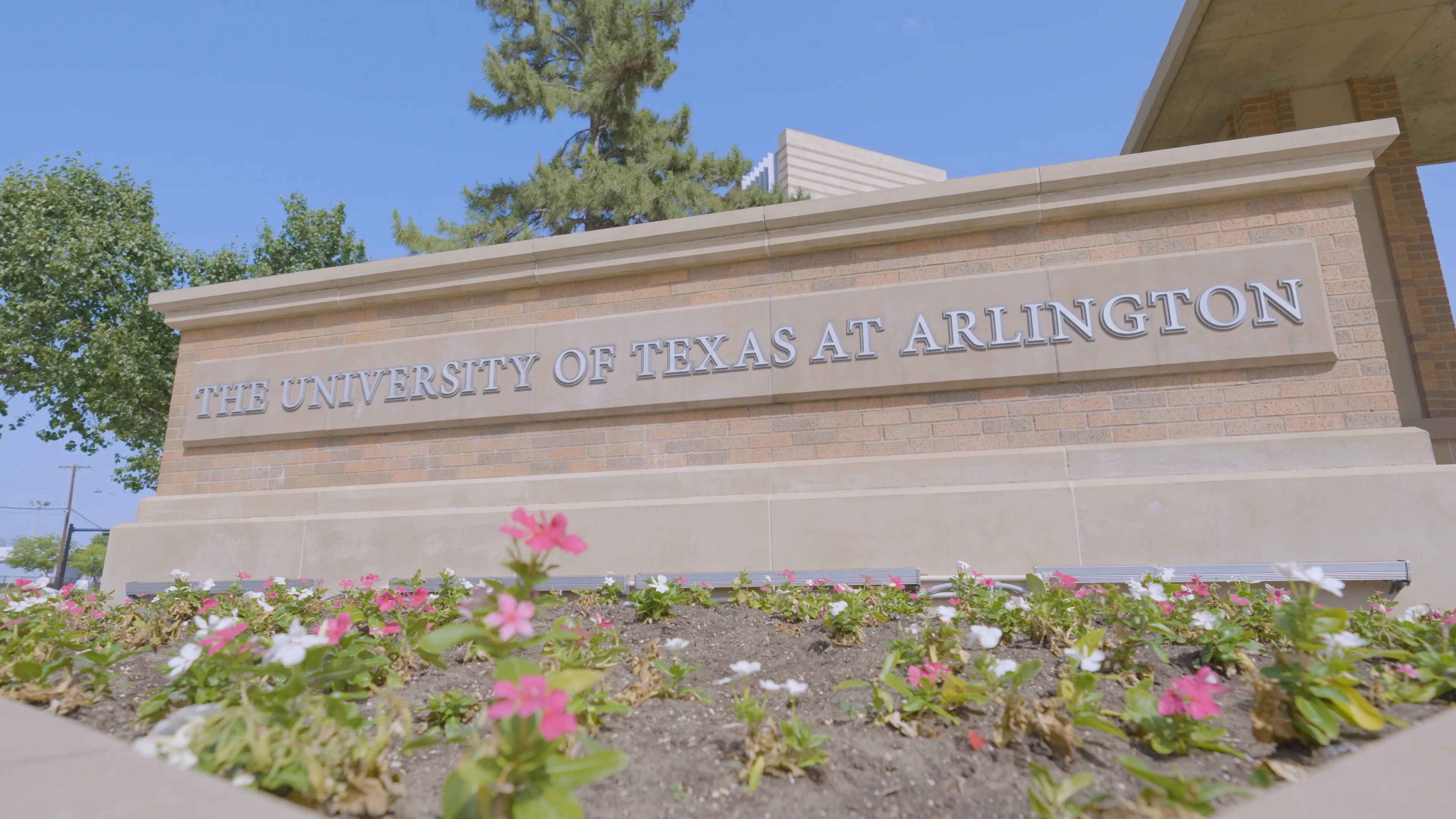 University of Texas Arlington Case Study