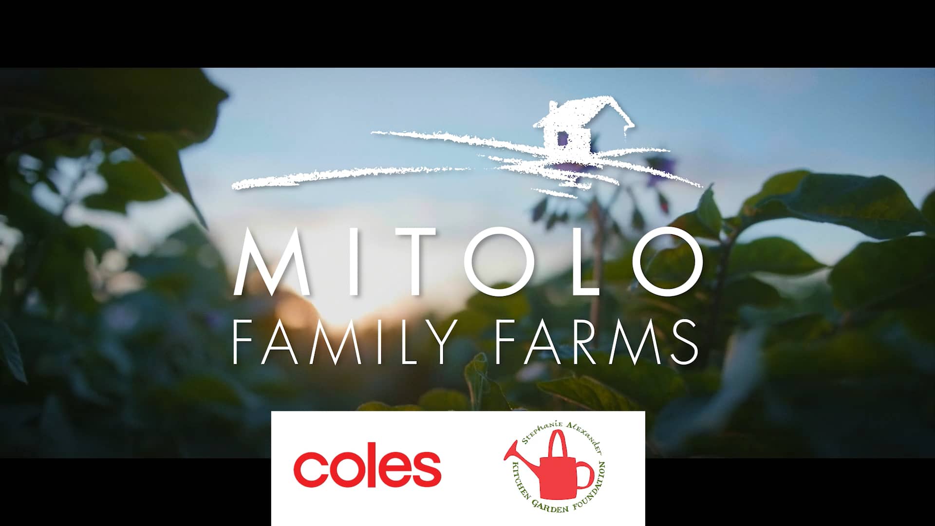 Q&A with Mitolo Farms about Carisma Potatoes on Vimeo