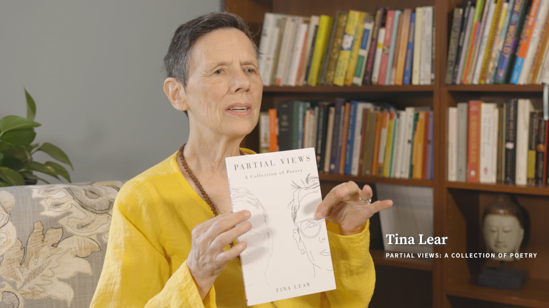 PARTIAL VIEWS by Tina Lear