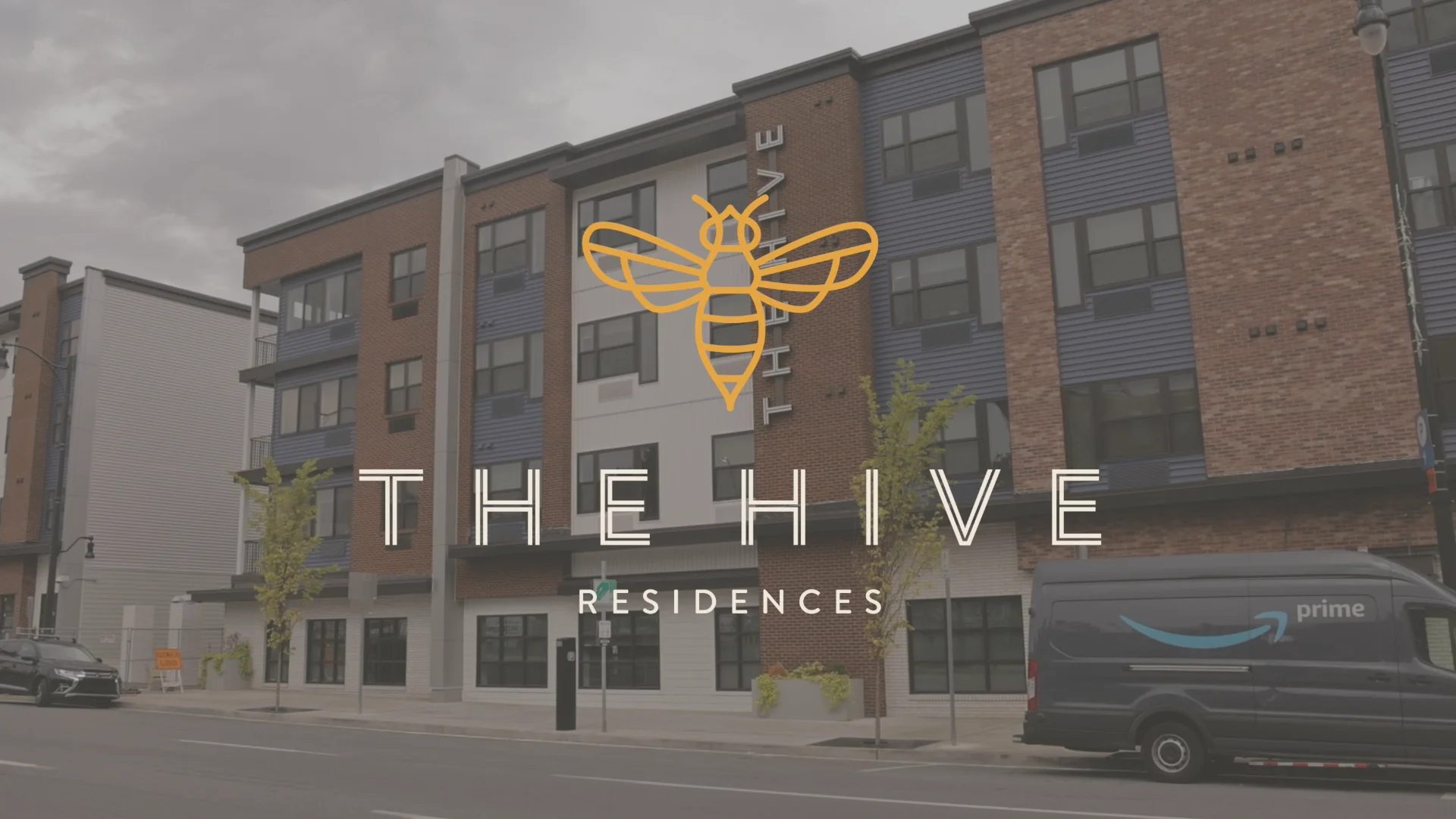 THE HIVE