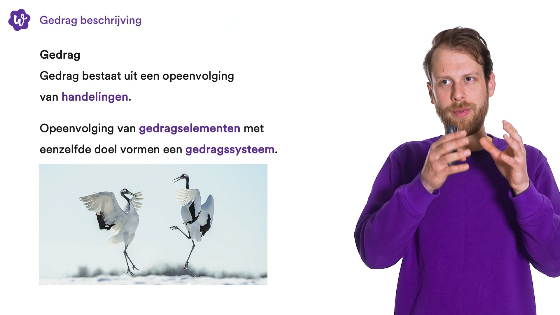 Gedrag beschrijven oefenen | StudyGo