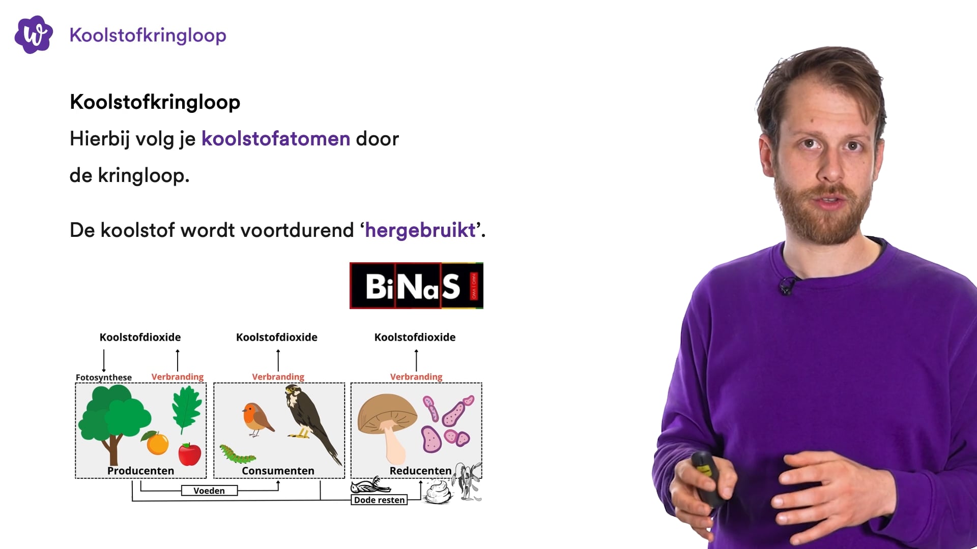 Koolstofkringloop oefenen | StudyGo
