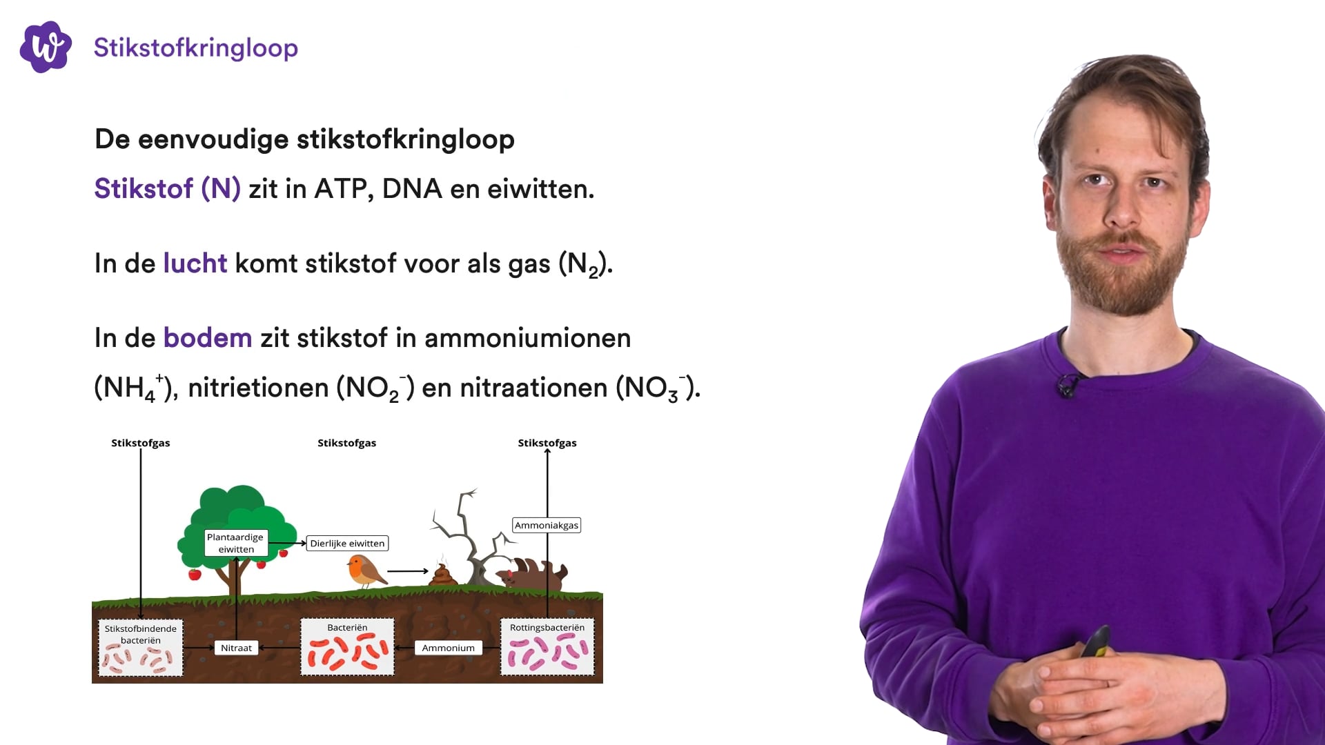 Stikstofkringloop (Nectar) oefenen | StudyGo