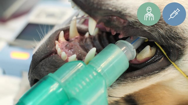 Centralcpd on-demand