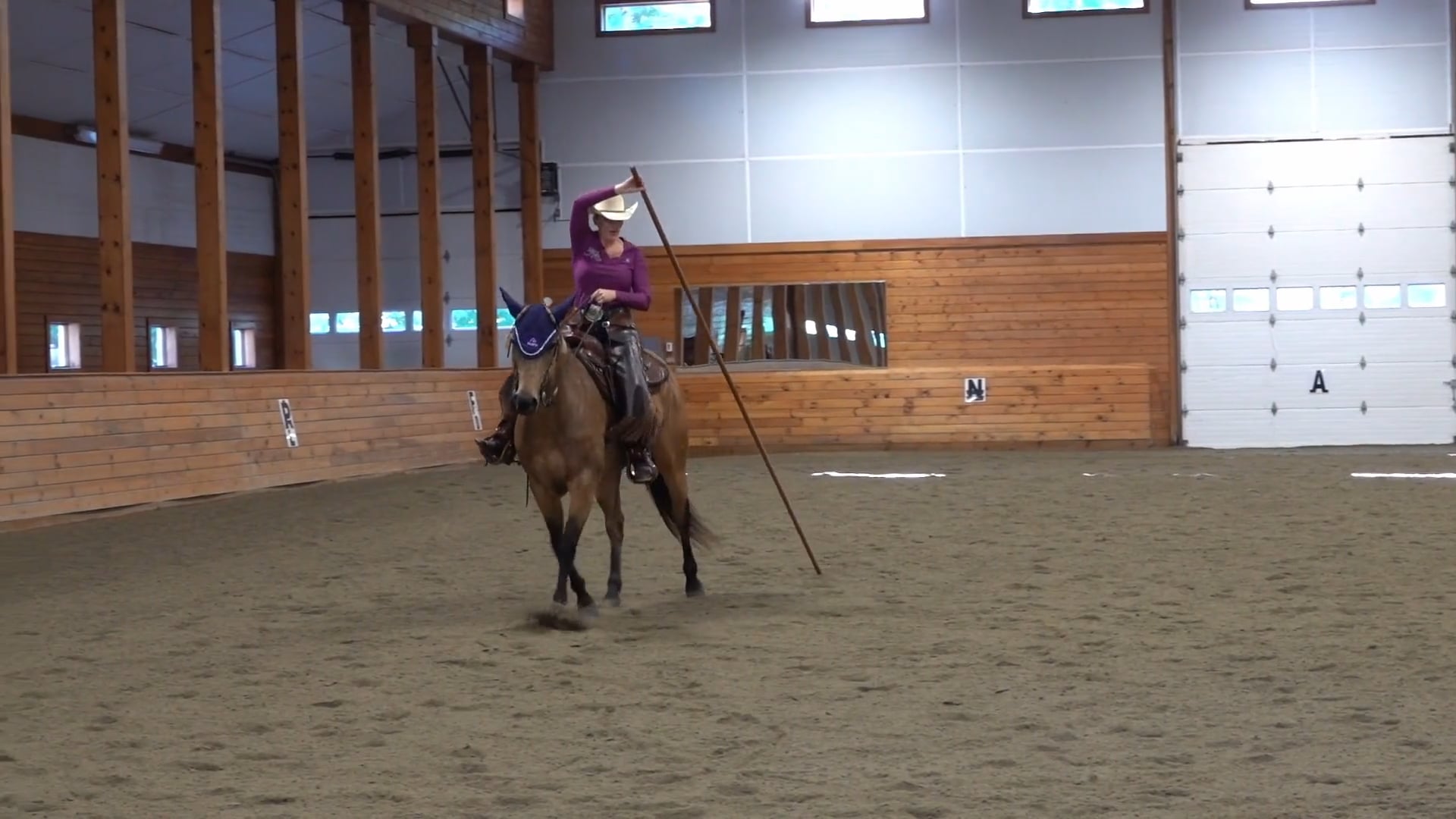 Garrocha as a Training Aid | Ridely