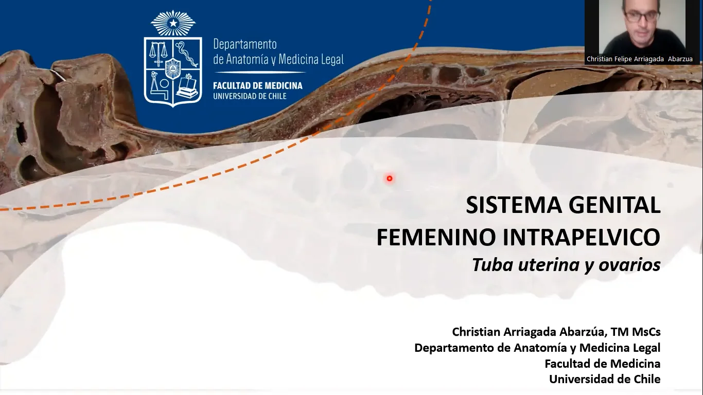 Tuba uterina y ovario on Vimeo