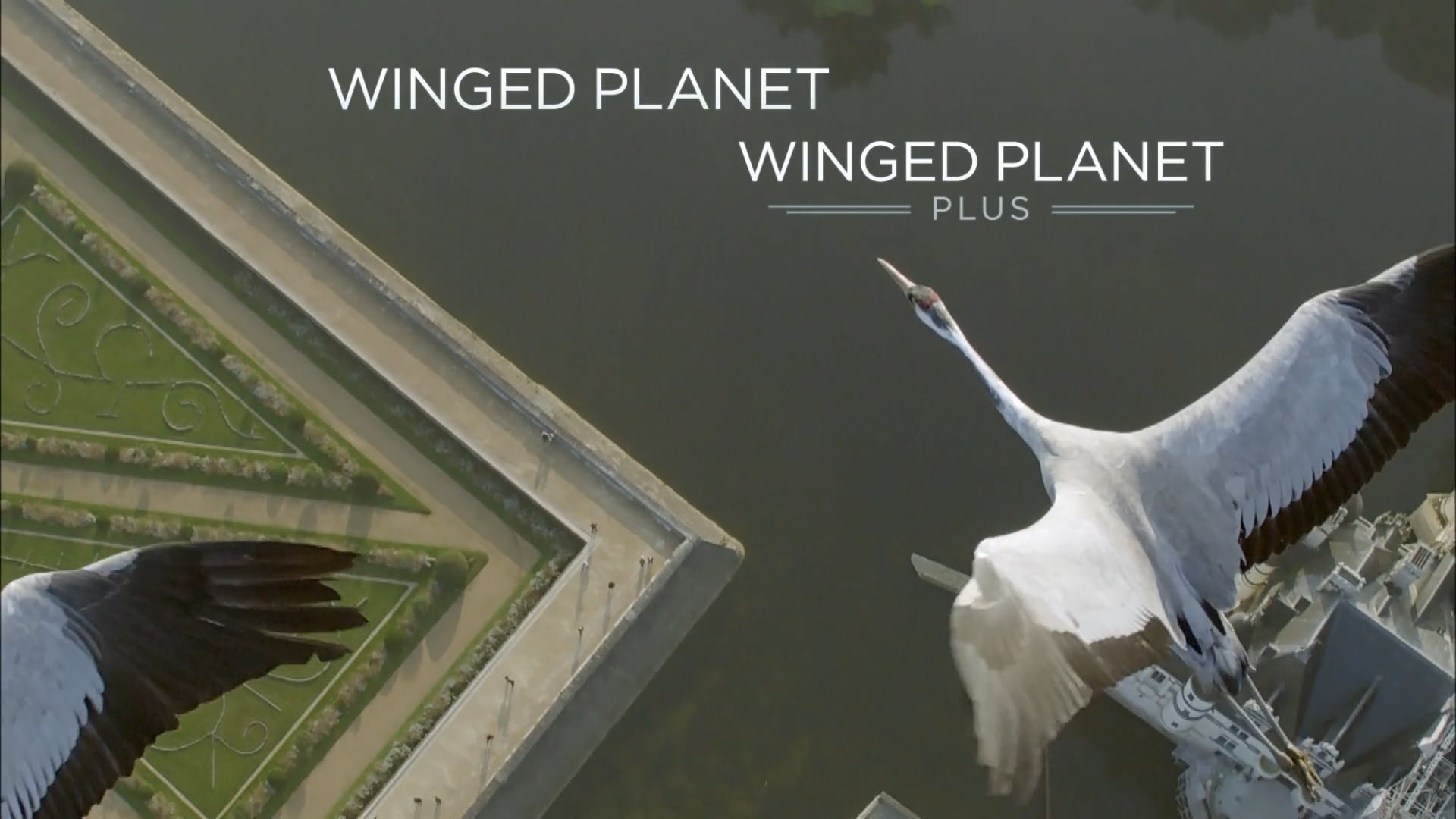 Discovery Winged Planet Upfront on Vimeo