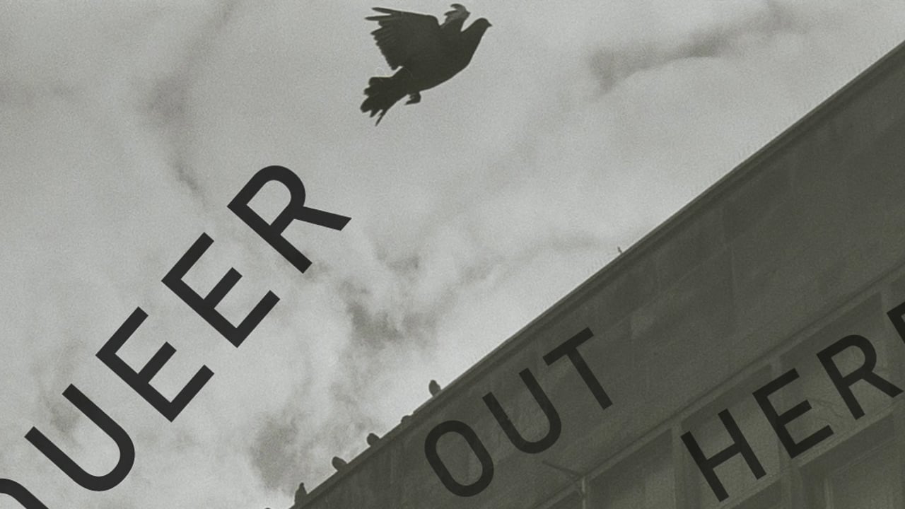 Preview: Queer Out Here Issue 08 on Vimeo