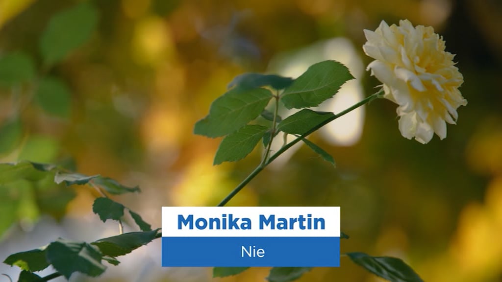 Monika Martin - Nie on Vimeo
