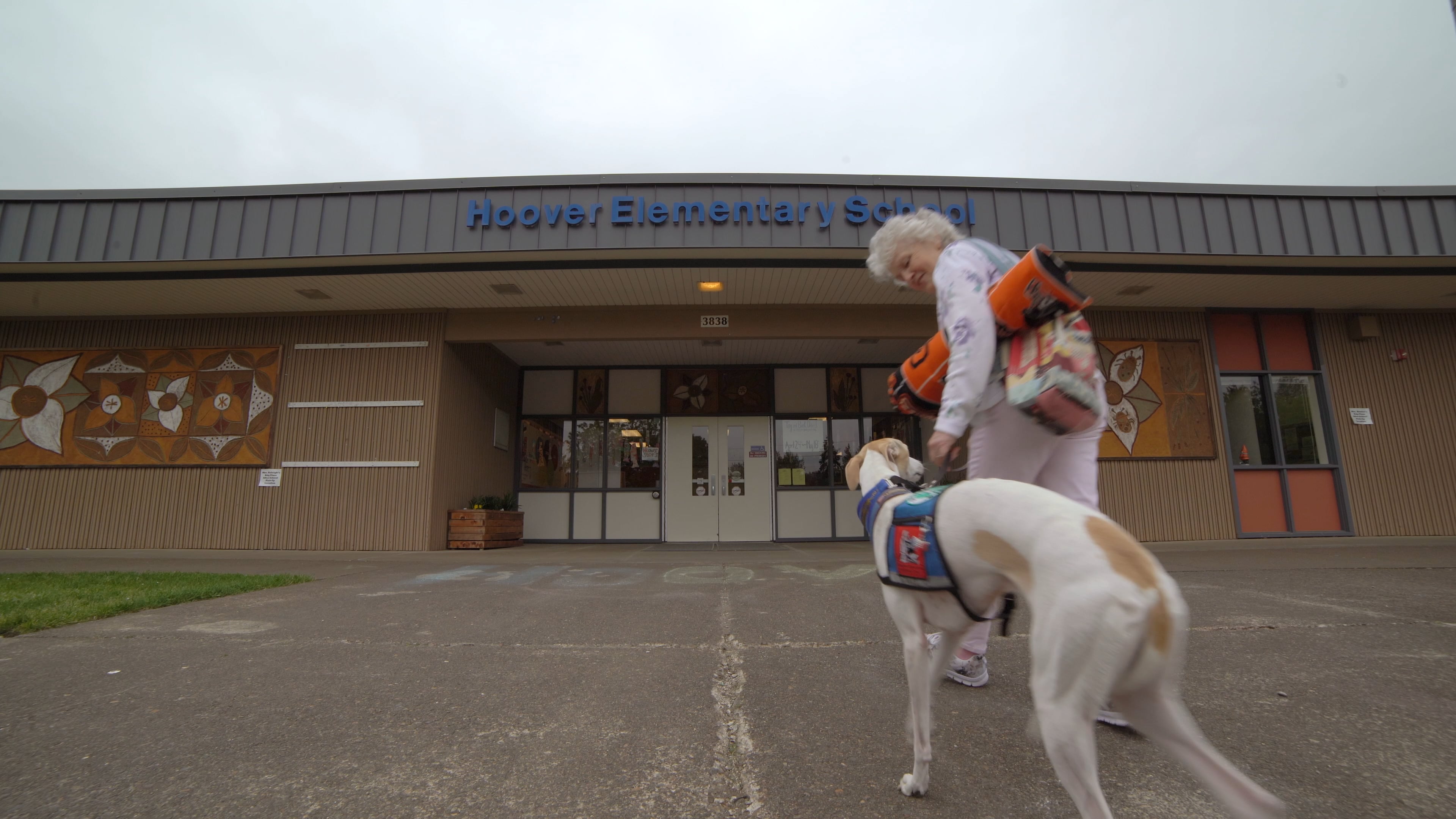 Dogs "teaching" kids to read on Vimeo