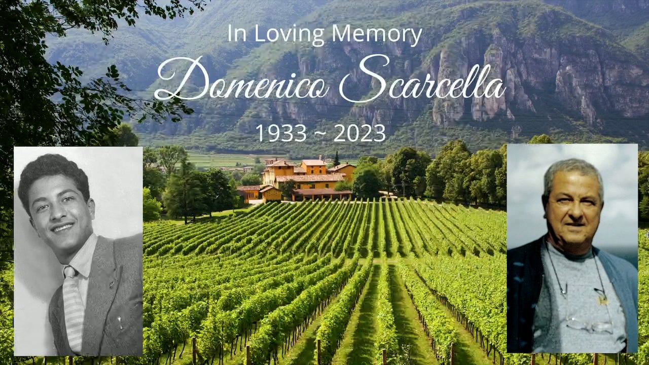 DOMENICO SCARCELLA on Vimeo