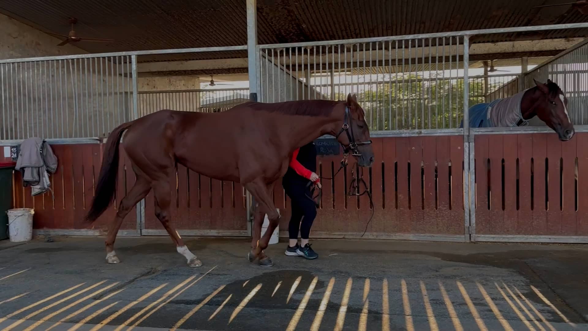 Microwave Jenny OS on Vimeo