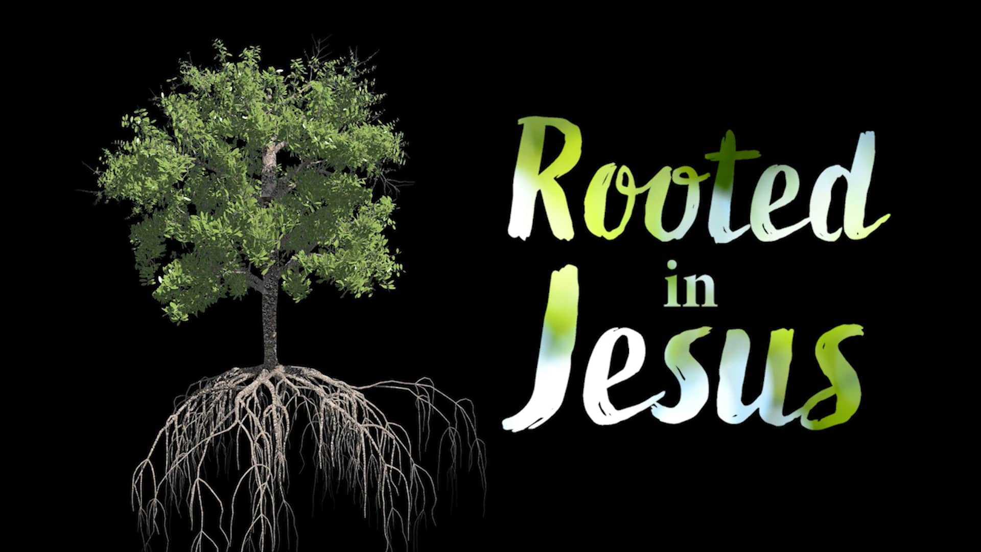 Rooted in Jesus: Rev. Henry Dolopei II on Vimeo
