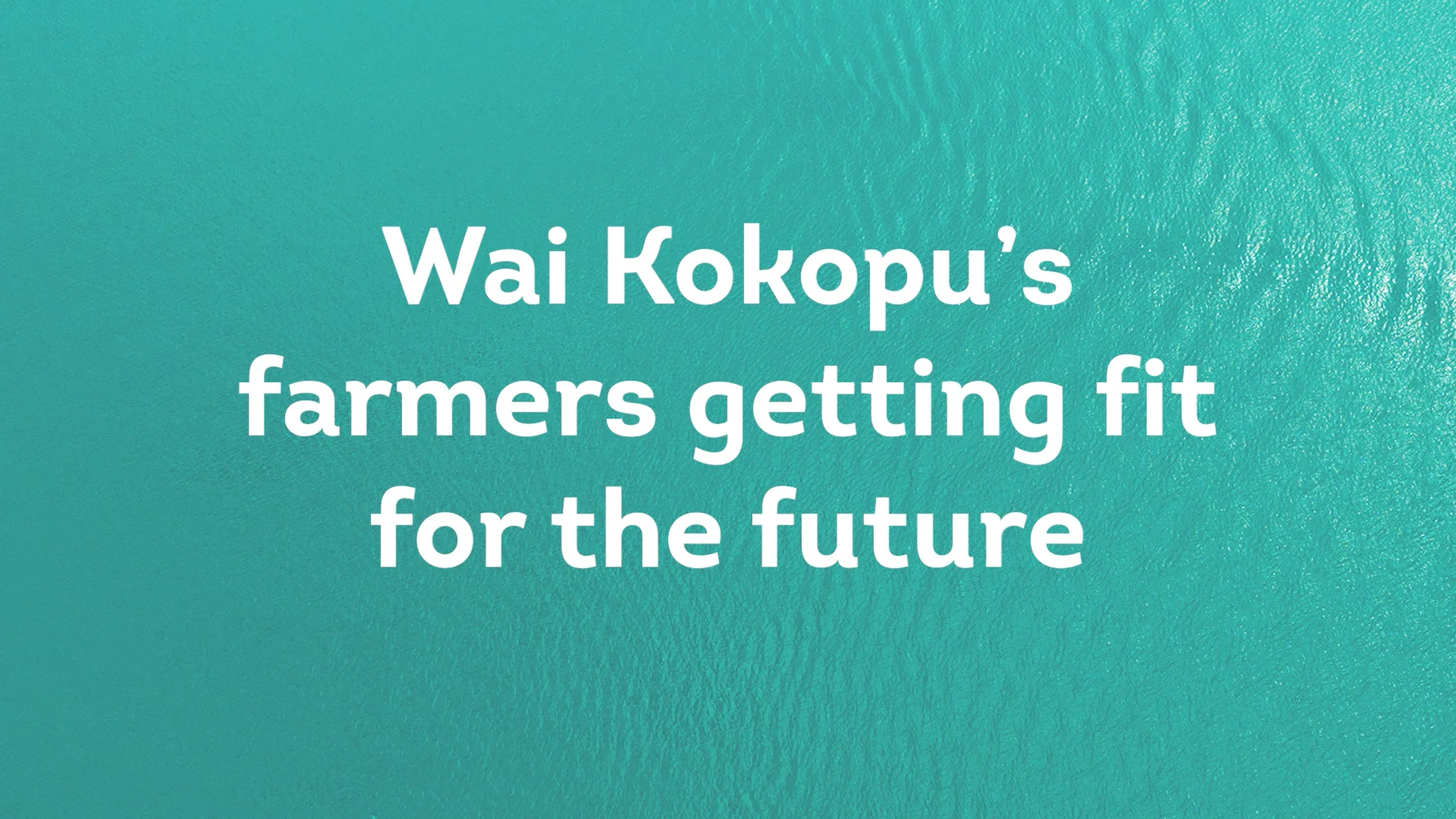 MPI Wrap up film on Vimeo