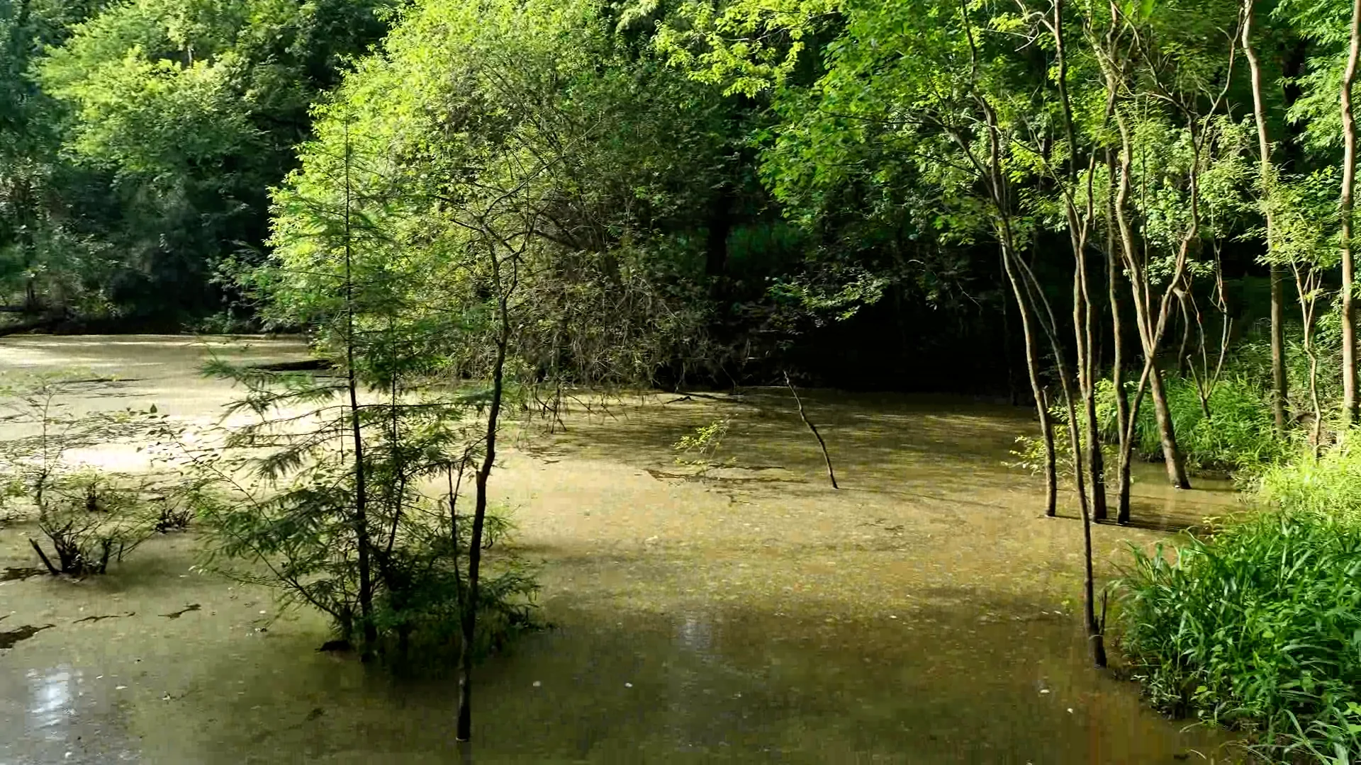 Alabama River Gator Hole on Vimeo