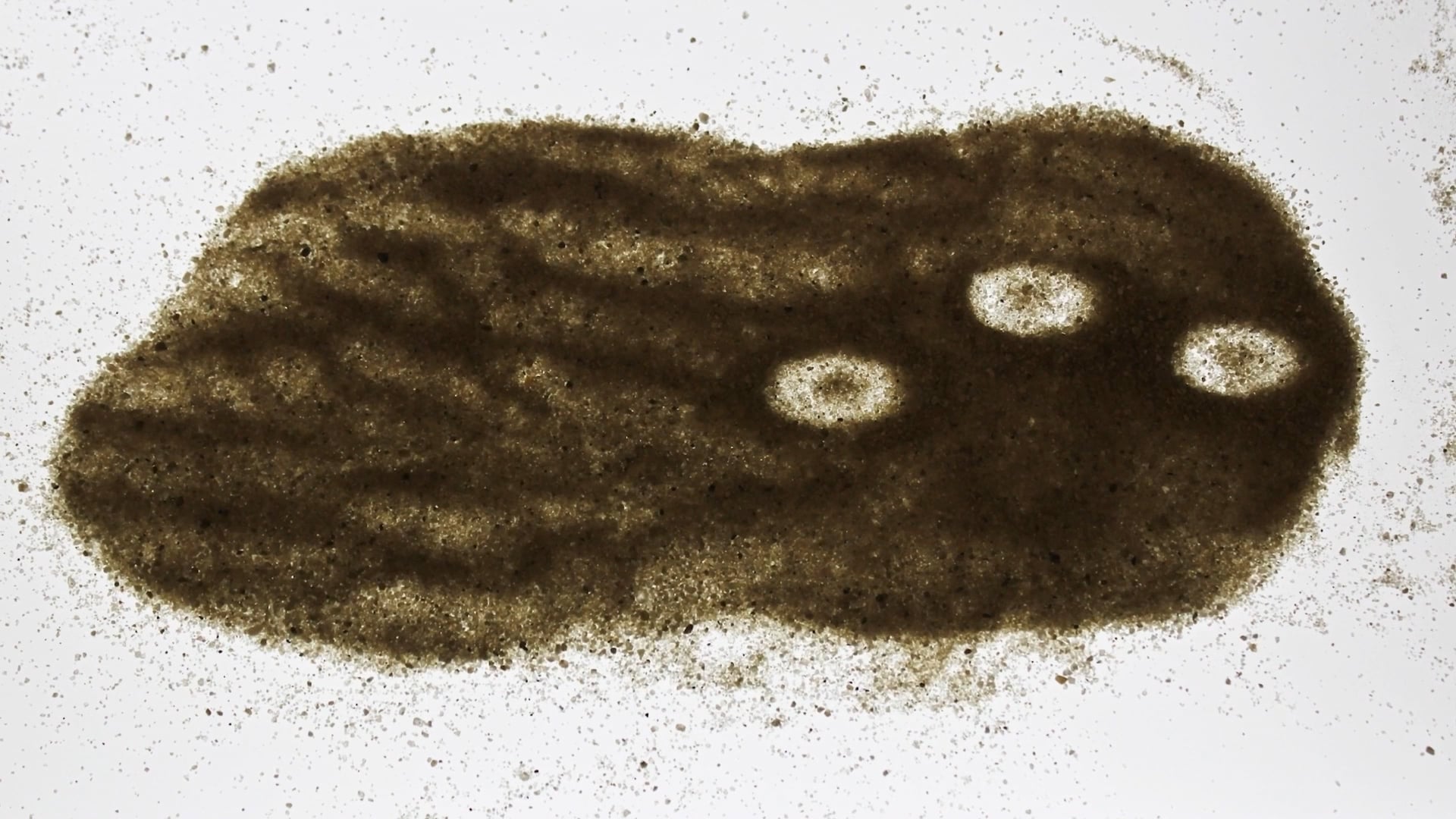 Jungsu Lim_The Beauty_Animation with Sound_9 min on Vimeo