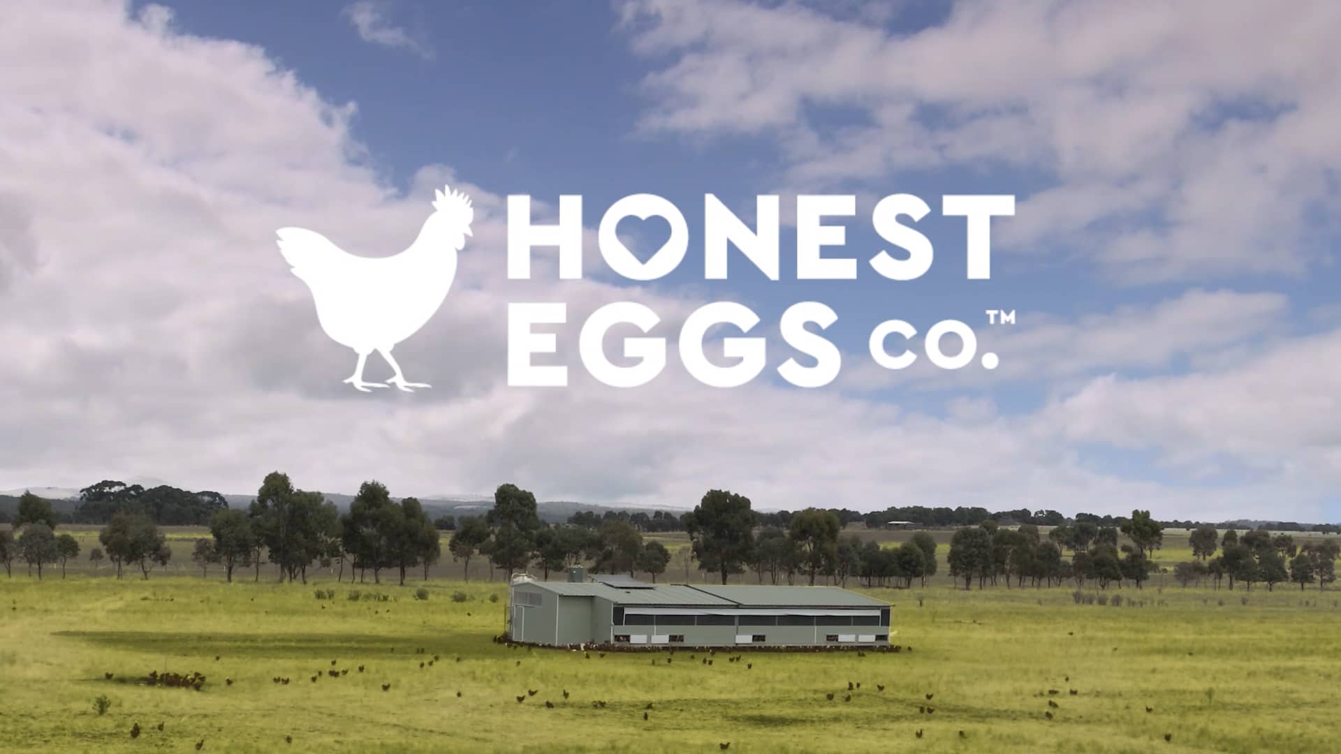 Honest Eggs Co. FitChix Case Study on Vimeo