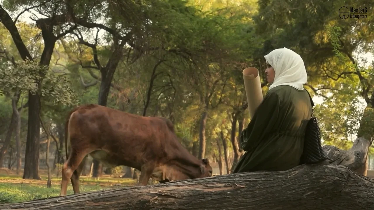 Kahkeshan's journey of flying high towards the quintessential on Vimeo