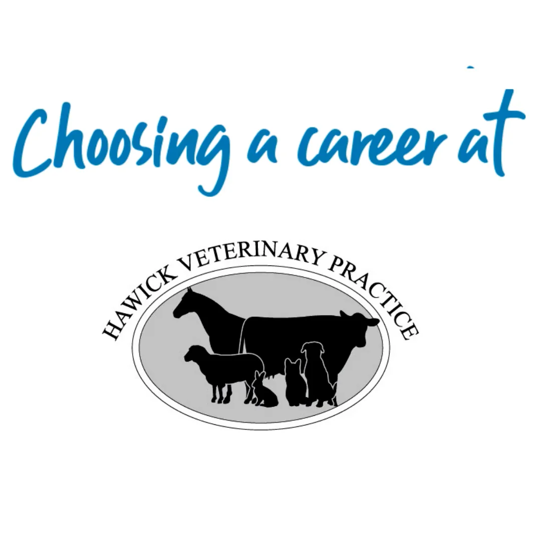 Choose a career at Hawick Vets on Vimeo