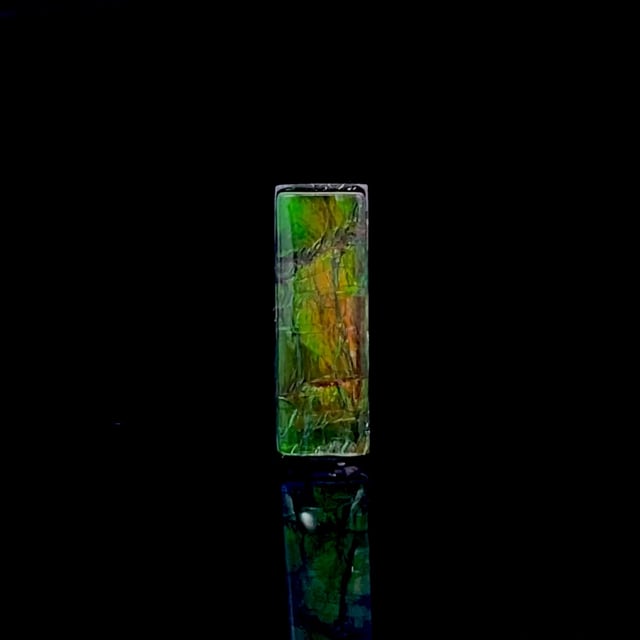 Ammolite (Opalescent Placenticeras Fossil) | Korite Ammolite Mine ...