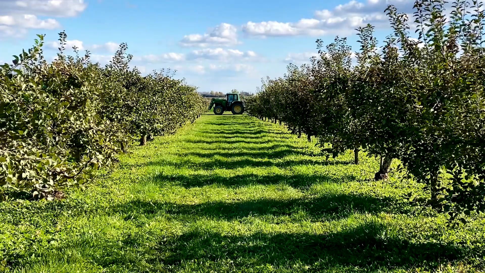 Dixie Orchards - Pick Your Own Apples, Pumpkin Patch
