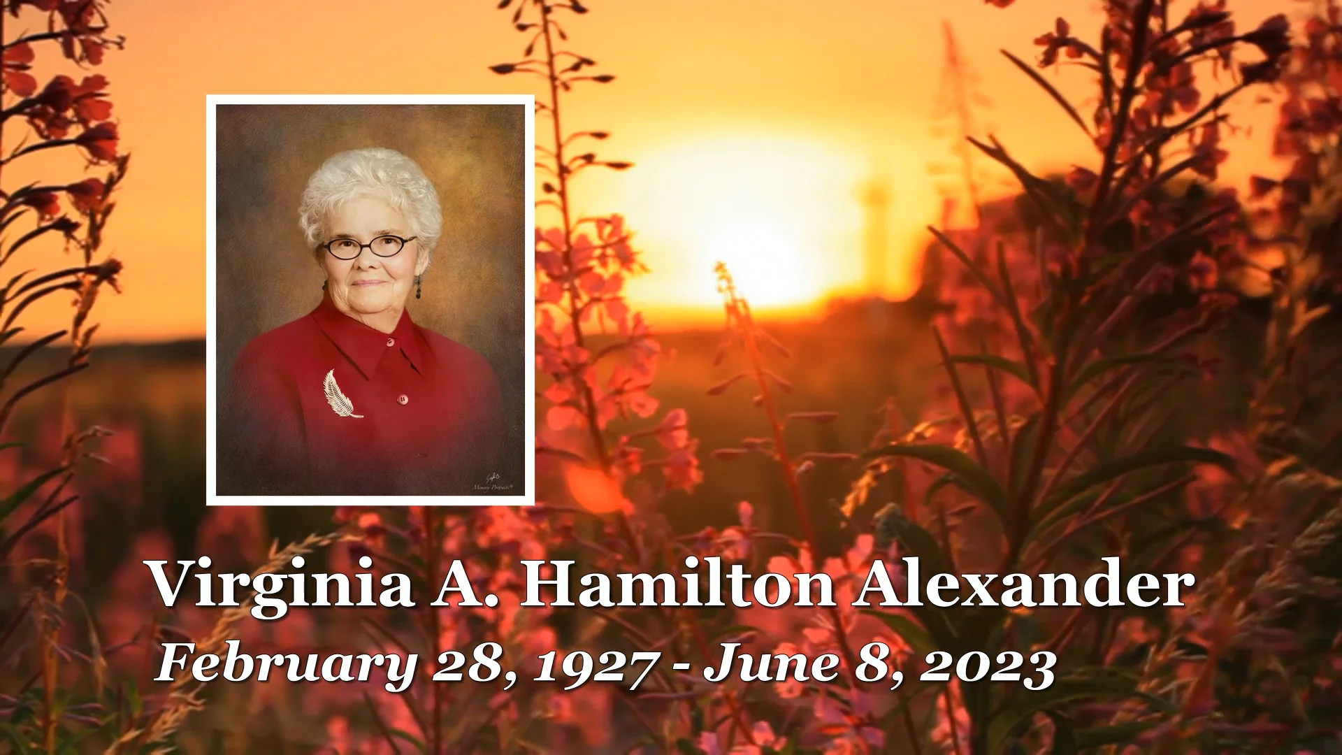 Virginia A. Hamilton Alexander - Morgan & Nay Virginia Alexander on Vimeo