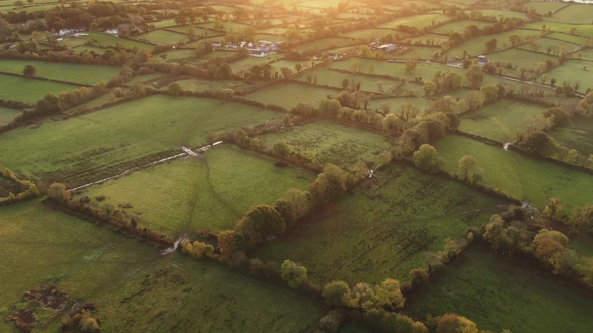 Plant - Log (Clement Hamilton) on Vimeo