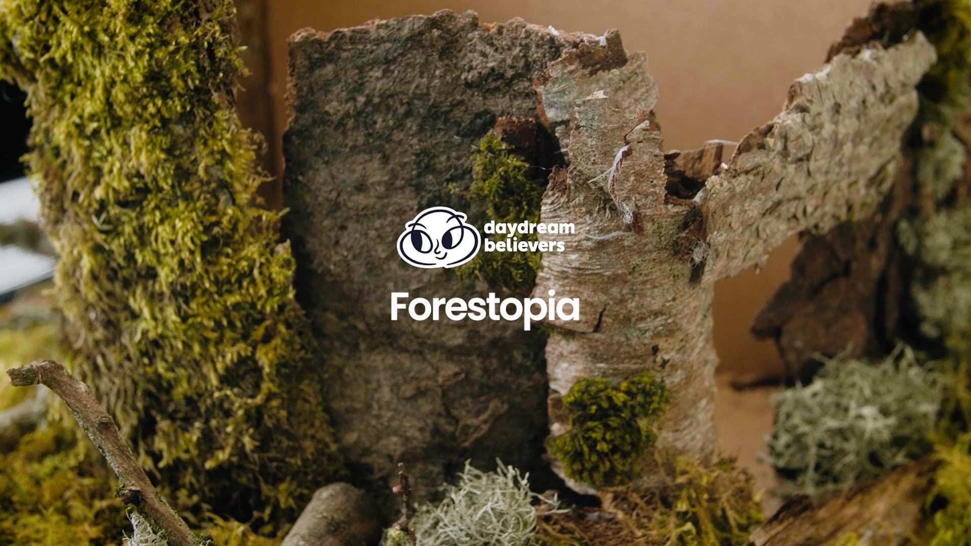 Daydream Believers - Forestopia Showcase on Vimeo