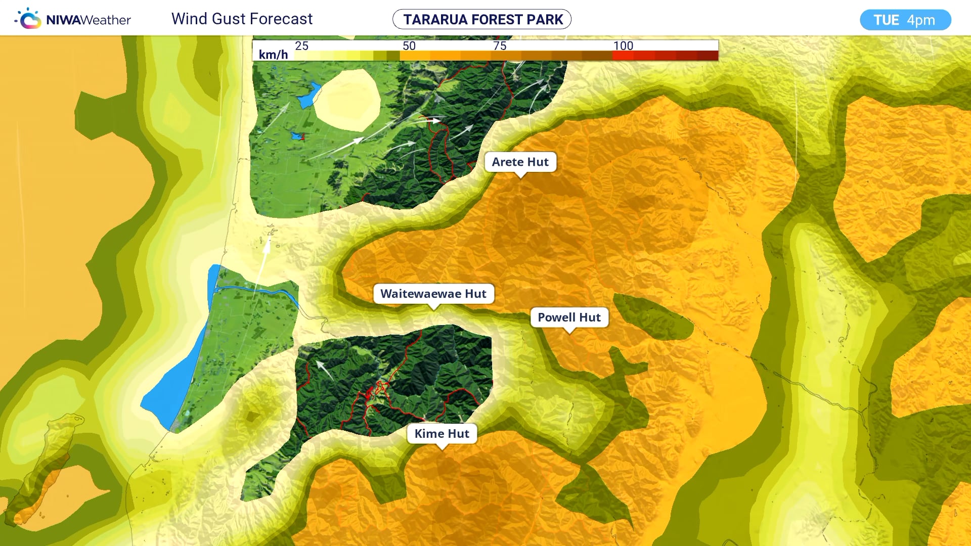 Tararua Forest Park Weather Outlook on Vimeo