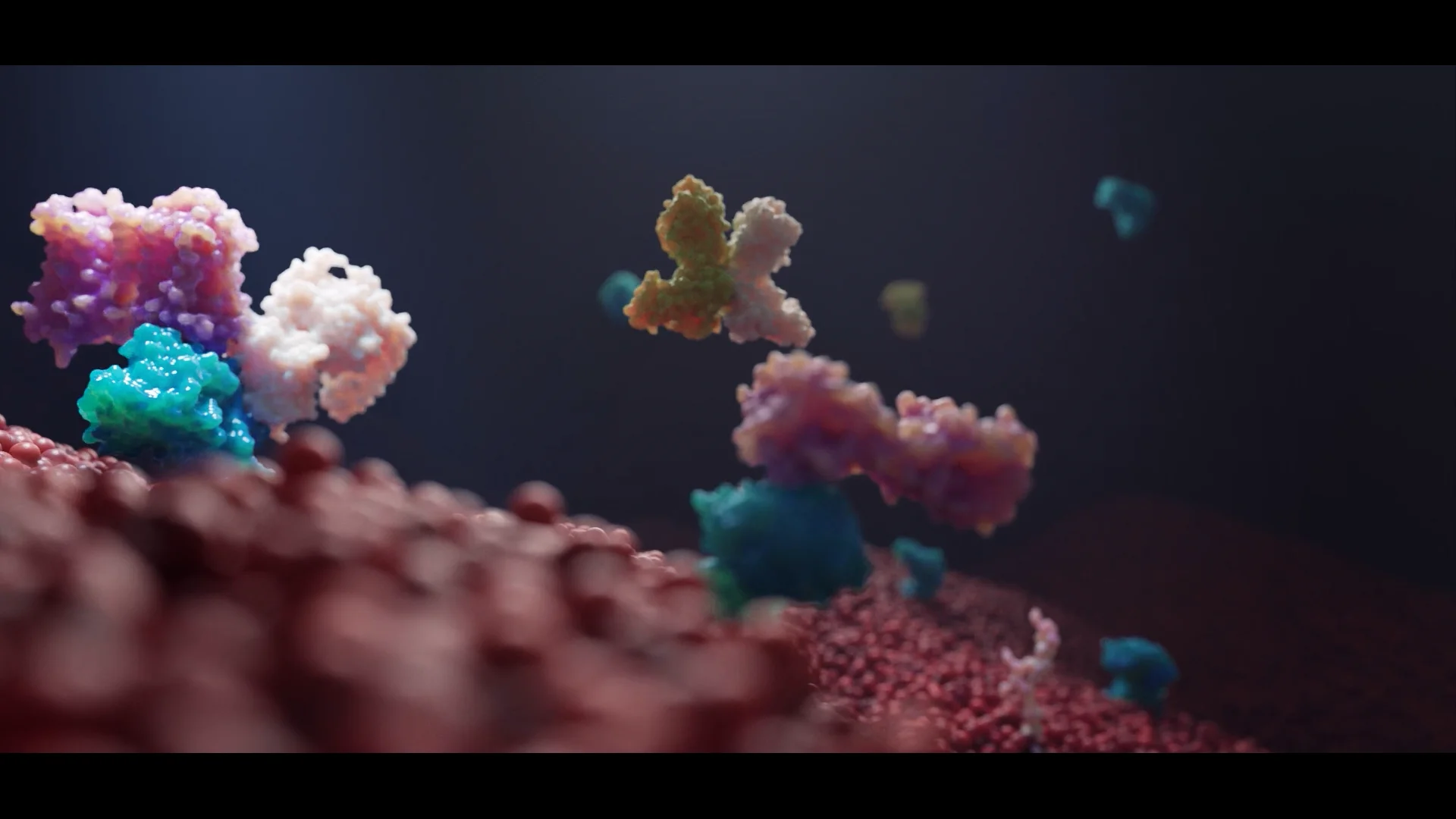 Cohesion Studios - Medical Animation Showreel