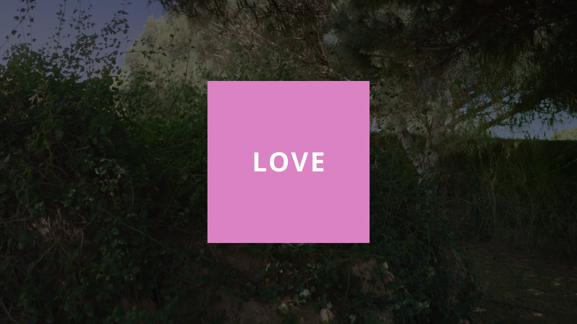 Love is Magic on Vimeo