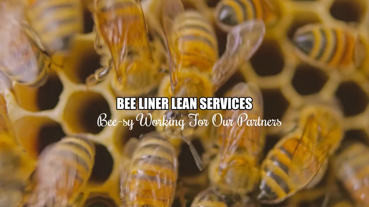 Bee Liner Lean Services