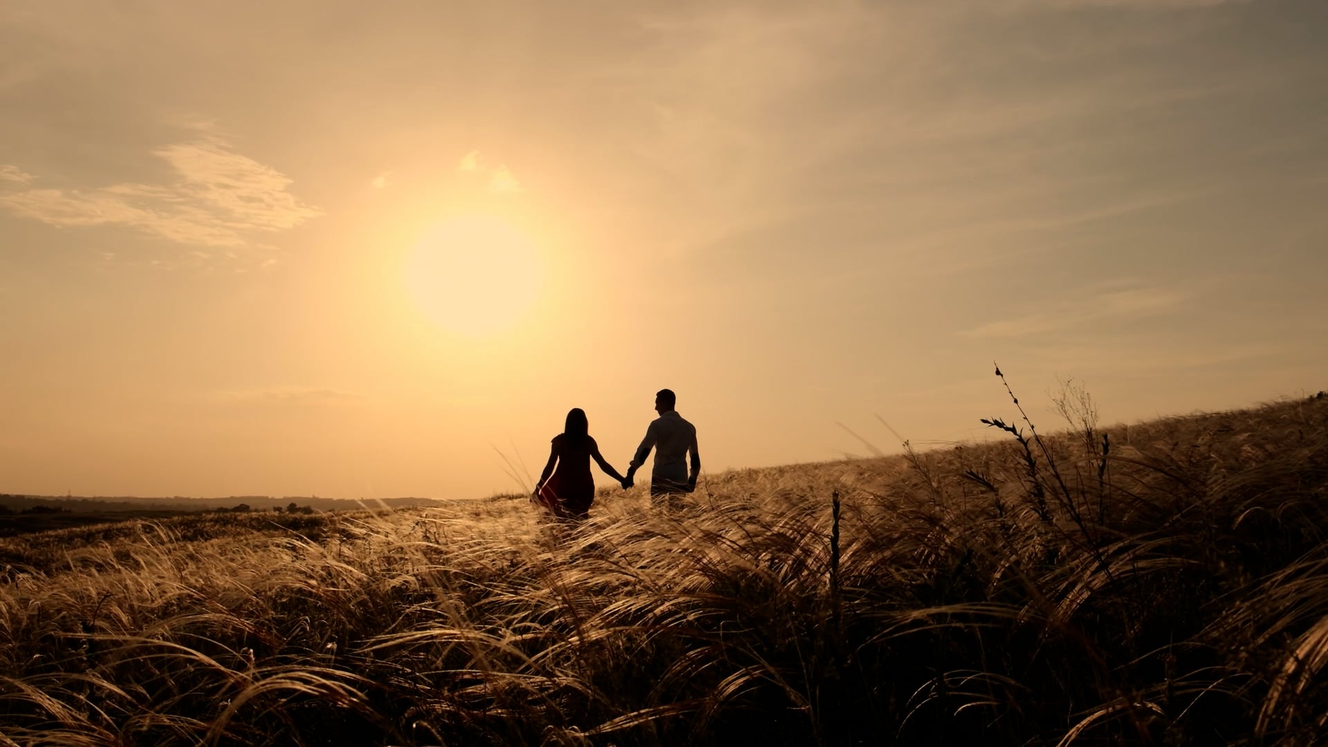 Find Your Perfect Partner with Match Mentors