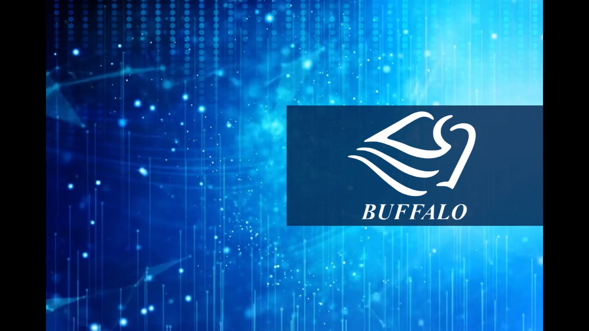 Buffalo Business Group
