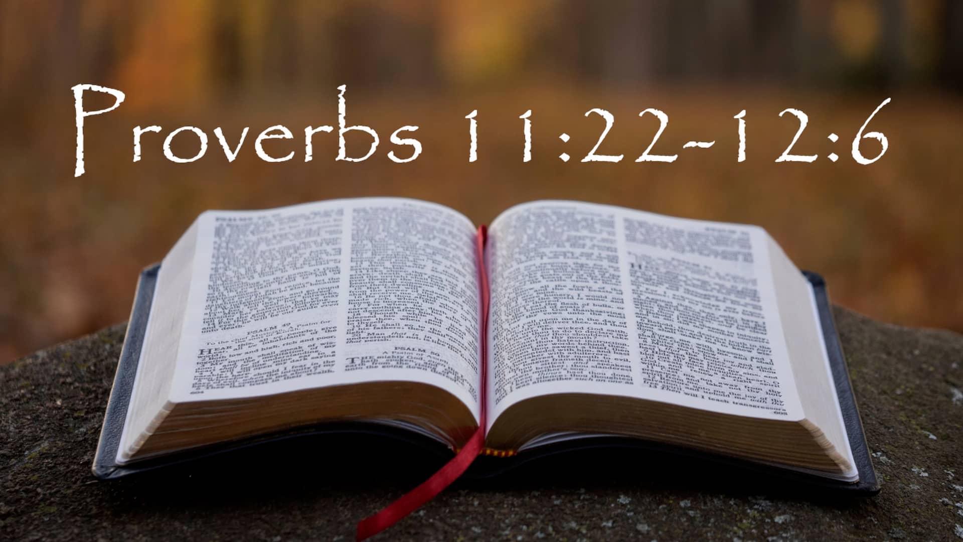 230614CRD Will Cass Proverbs 11:22-12:6 on Vimeo