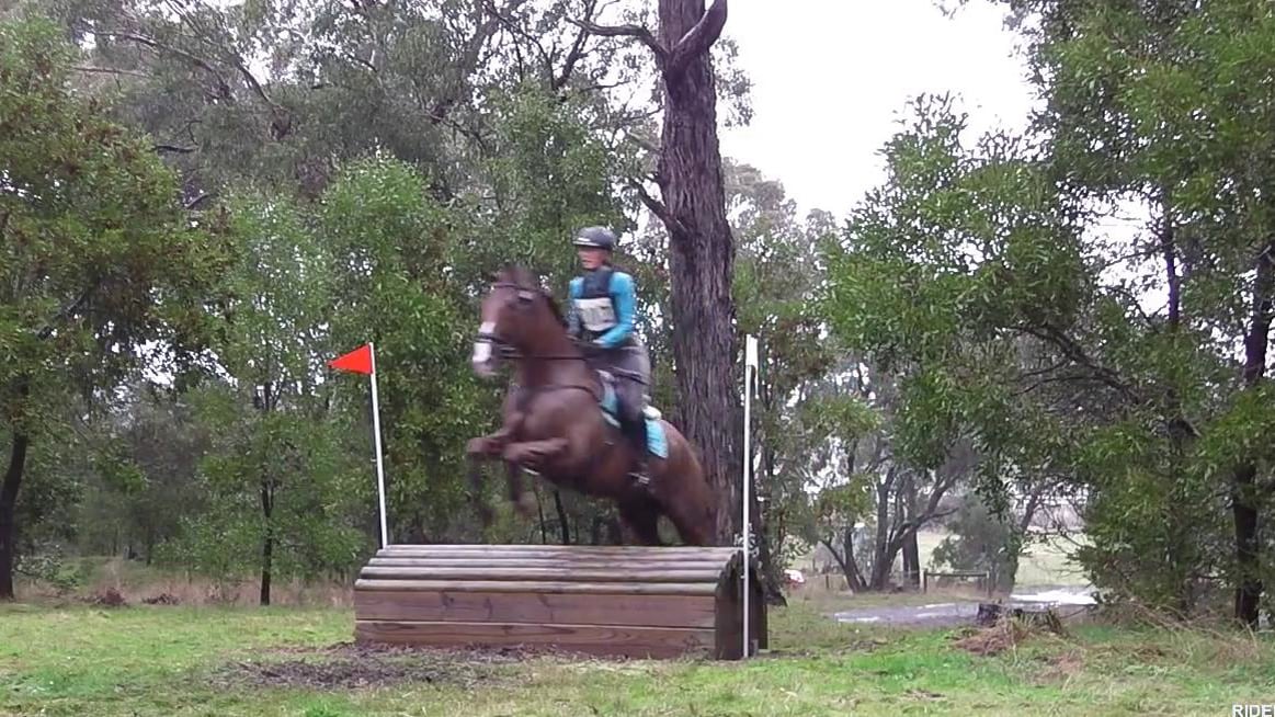 Andrea Wright riding Wyuna Park Archie 202 EvA80 Friends of Woady Horse ...