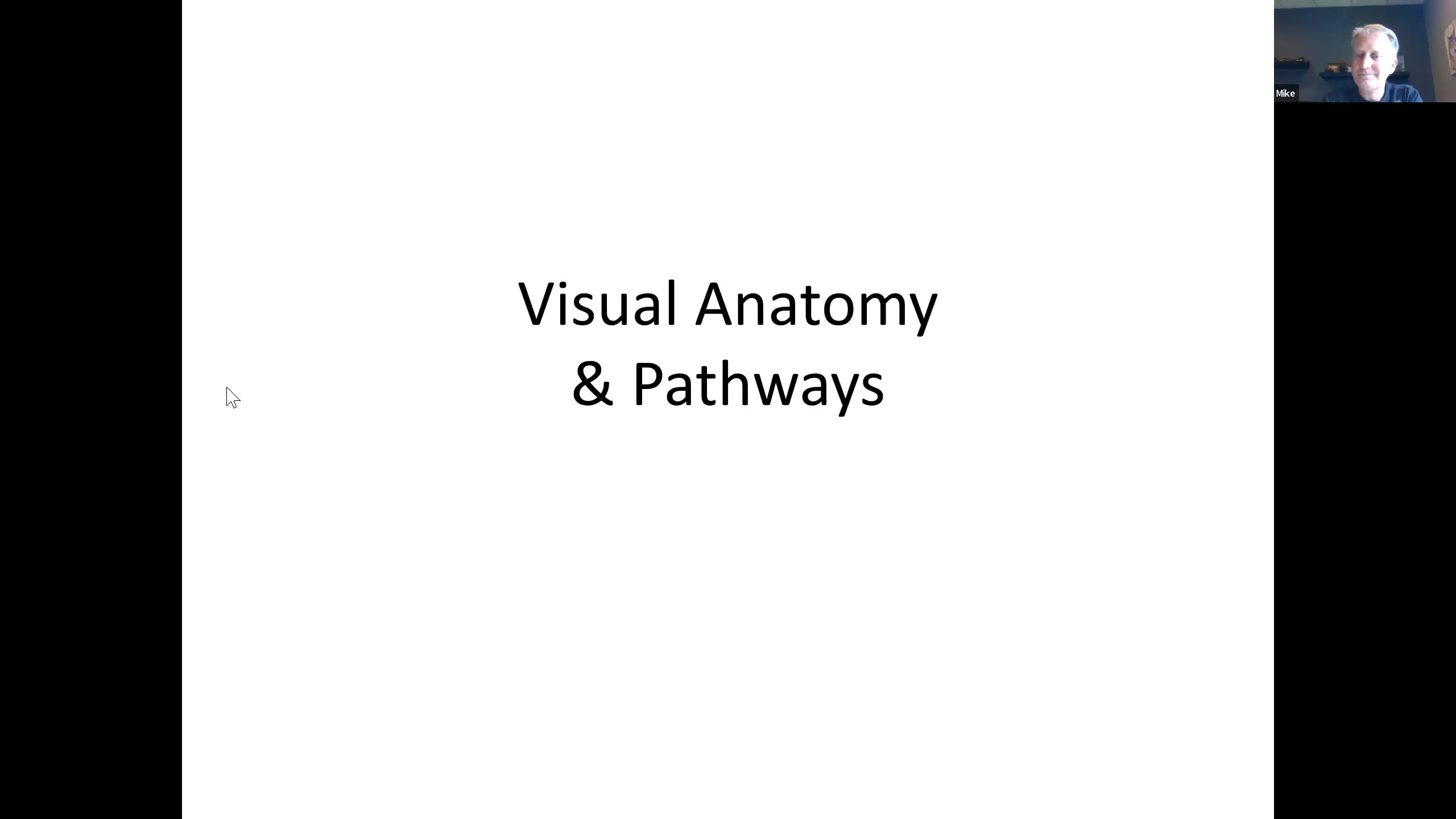 Visual Pathways and Function on Vimeo