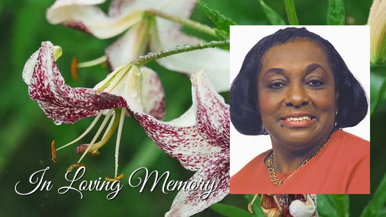 Jenice Brown on Vimeo