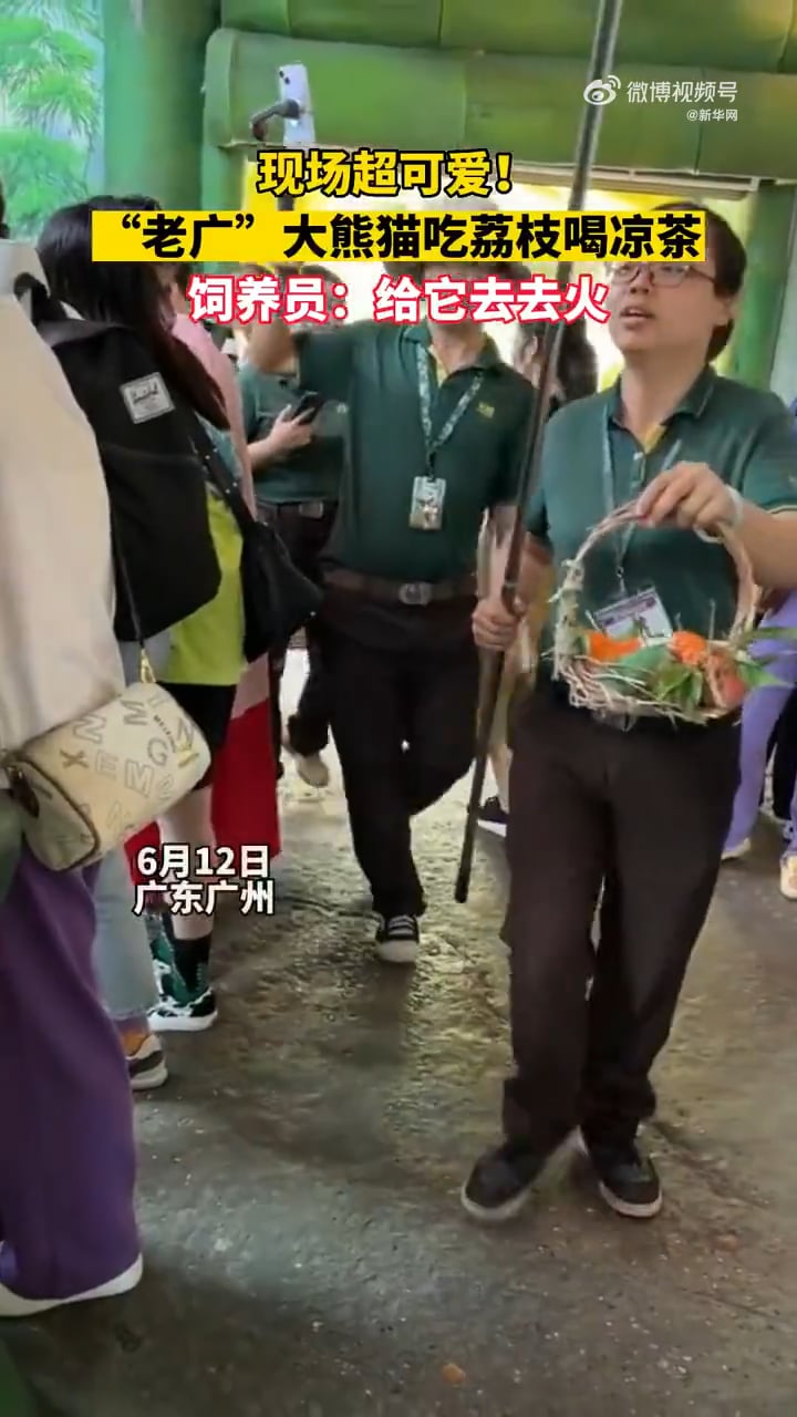 Panda eats lychee on Vimeo