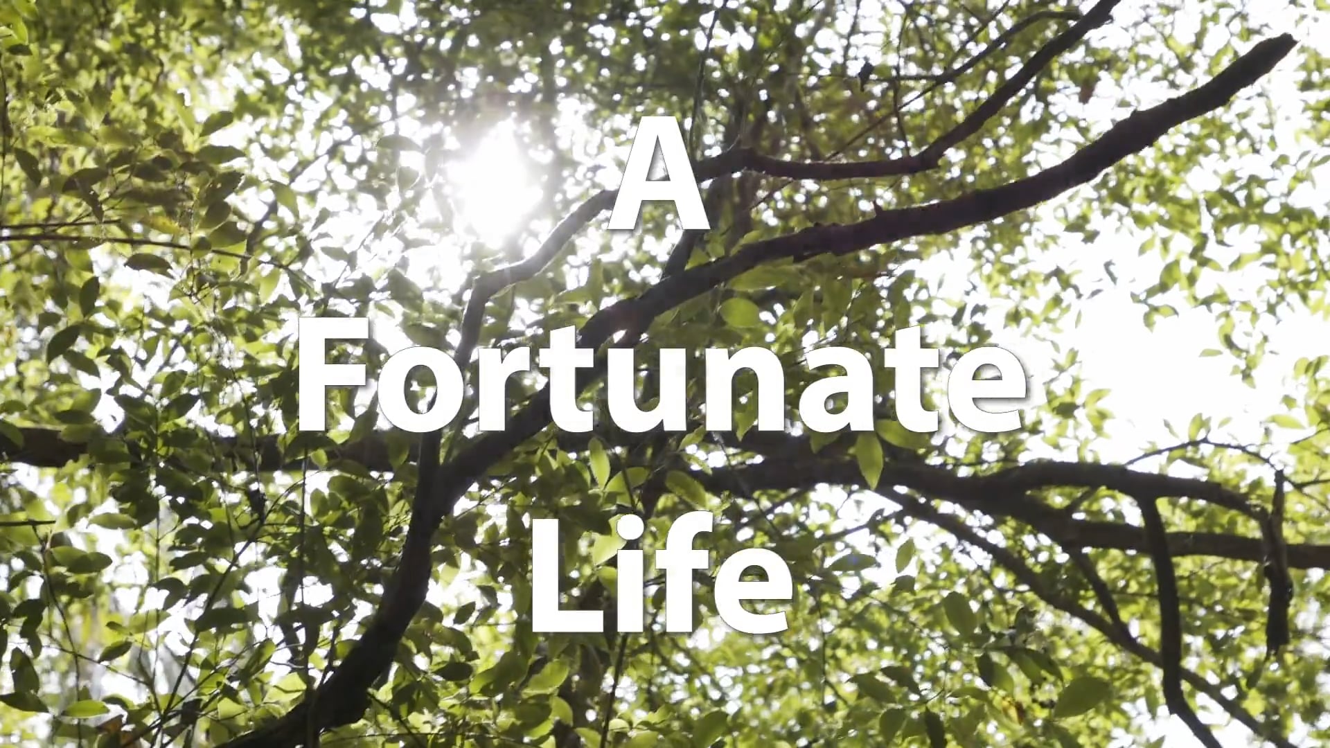 A Fortunate Life (Documentary) on Vimeo