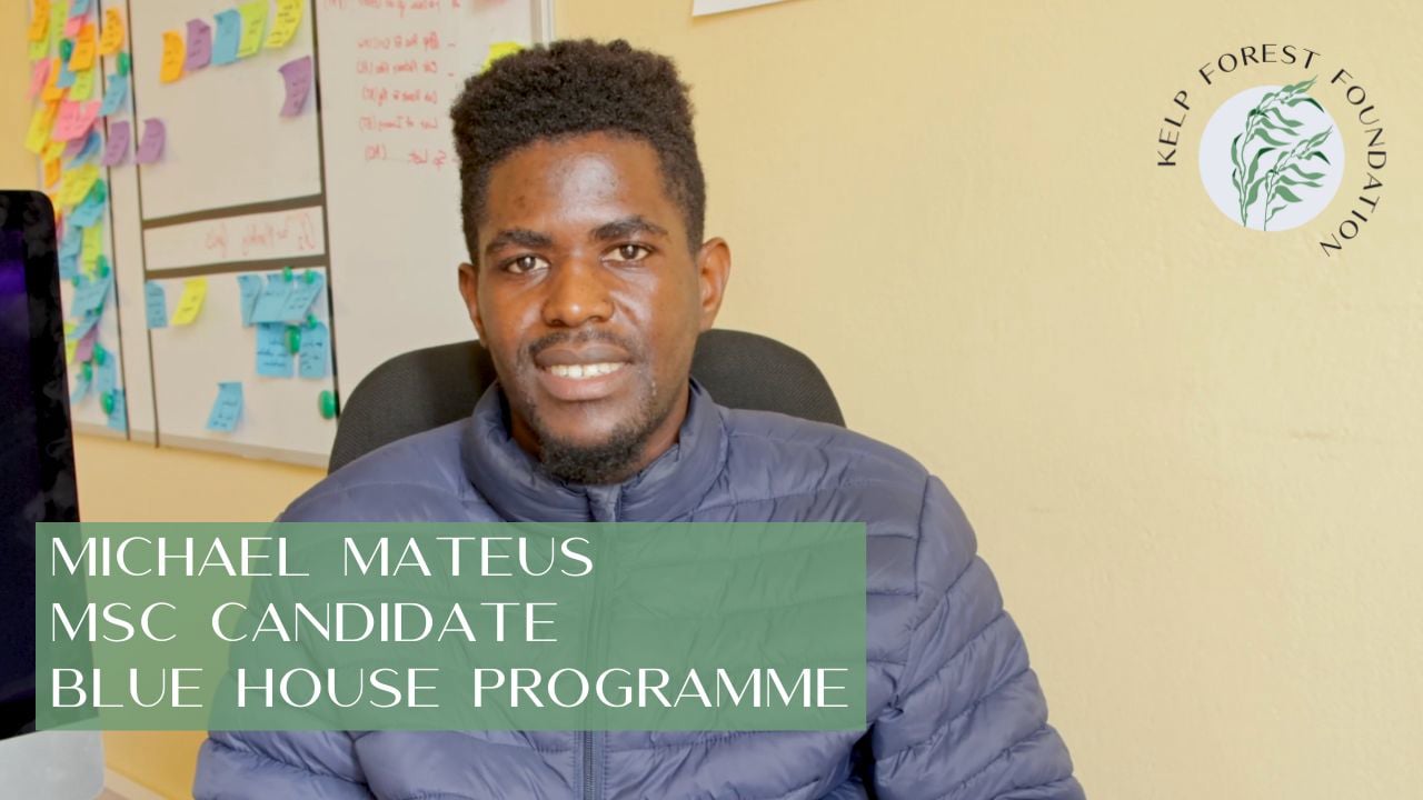 Michael Mateus, MSc Candidate - Blue House Programme on Vimeo